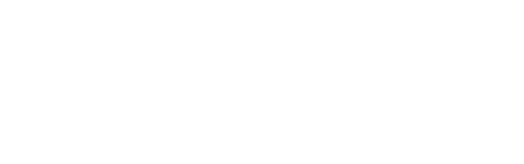 Patricia Hrobak - Metavivor